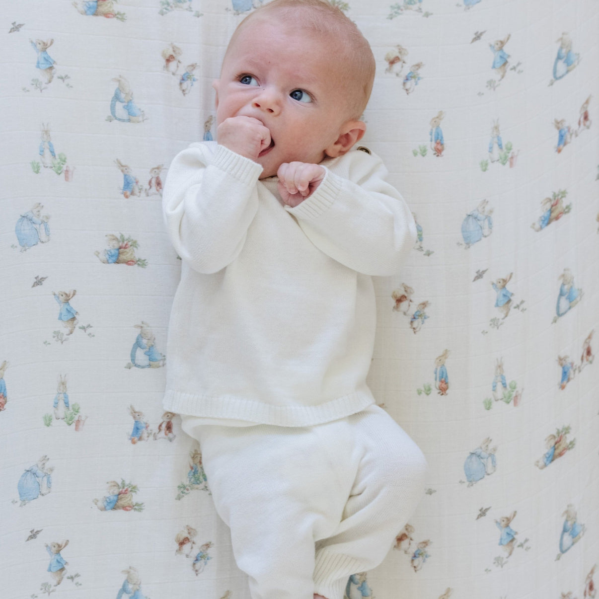 Shop Peter Rabbit Crib Sheet | Saranoni