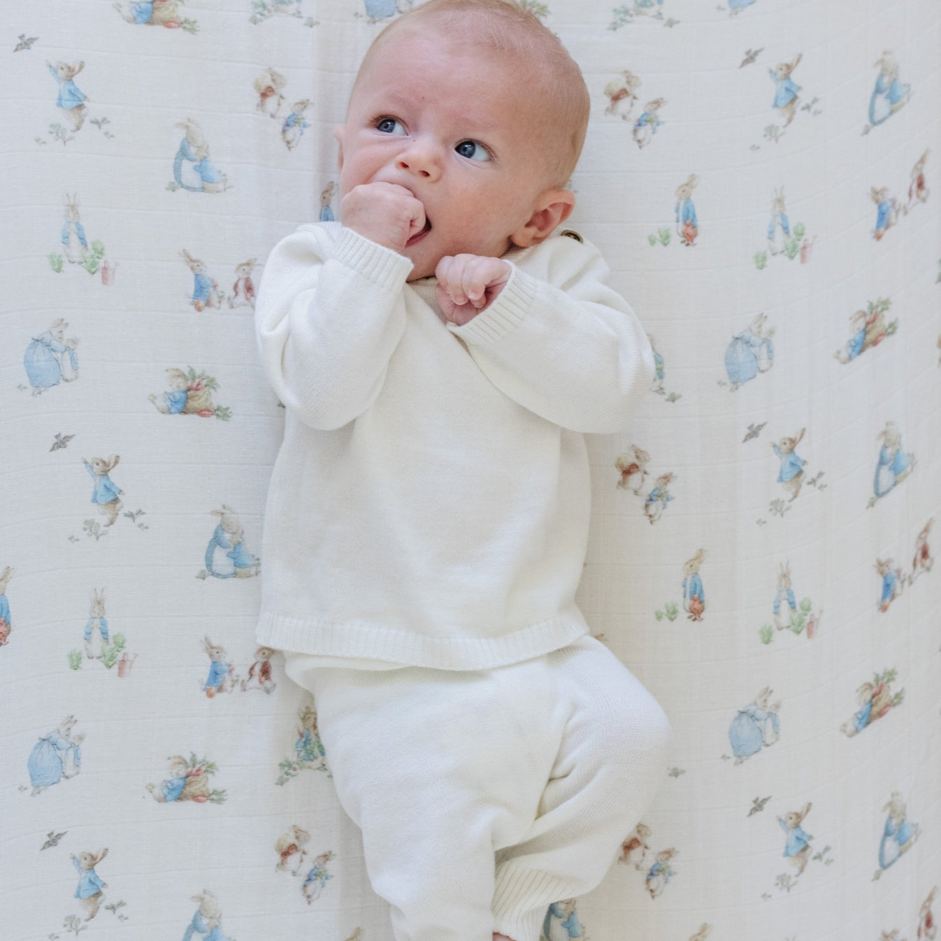 Shop Peter Rabbit Crib Sheet | Saranoni