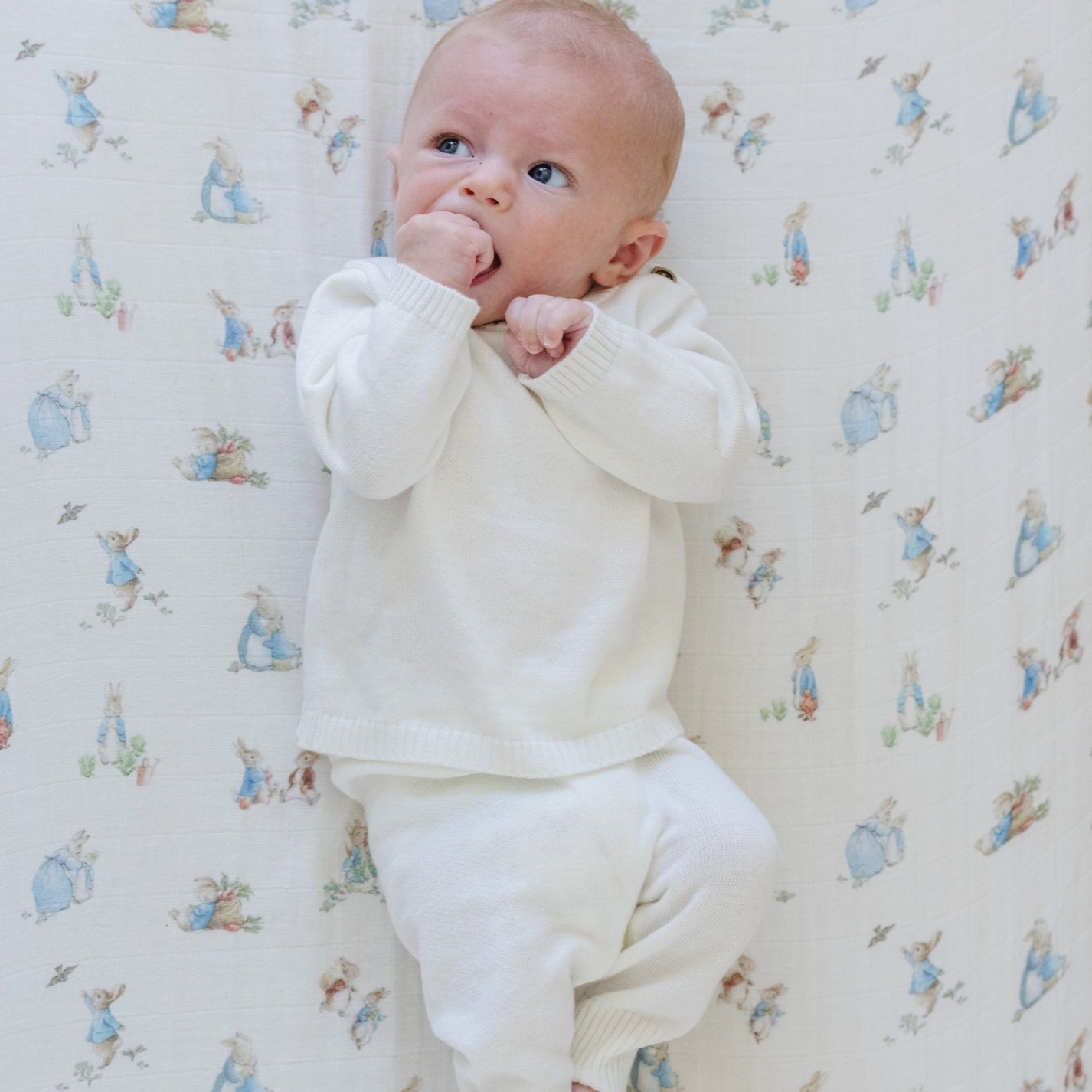 Shop Peter Rabbit Crib Sheet | Saranoni